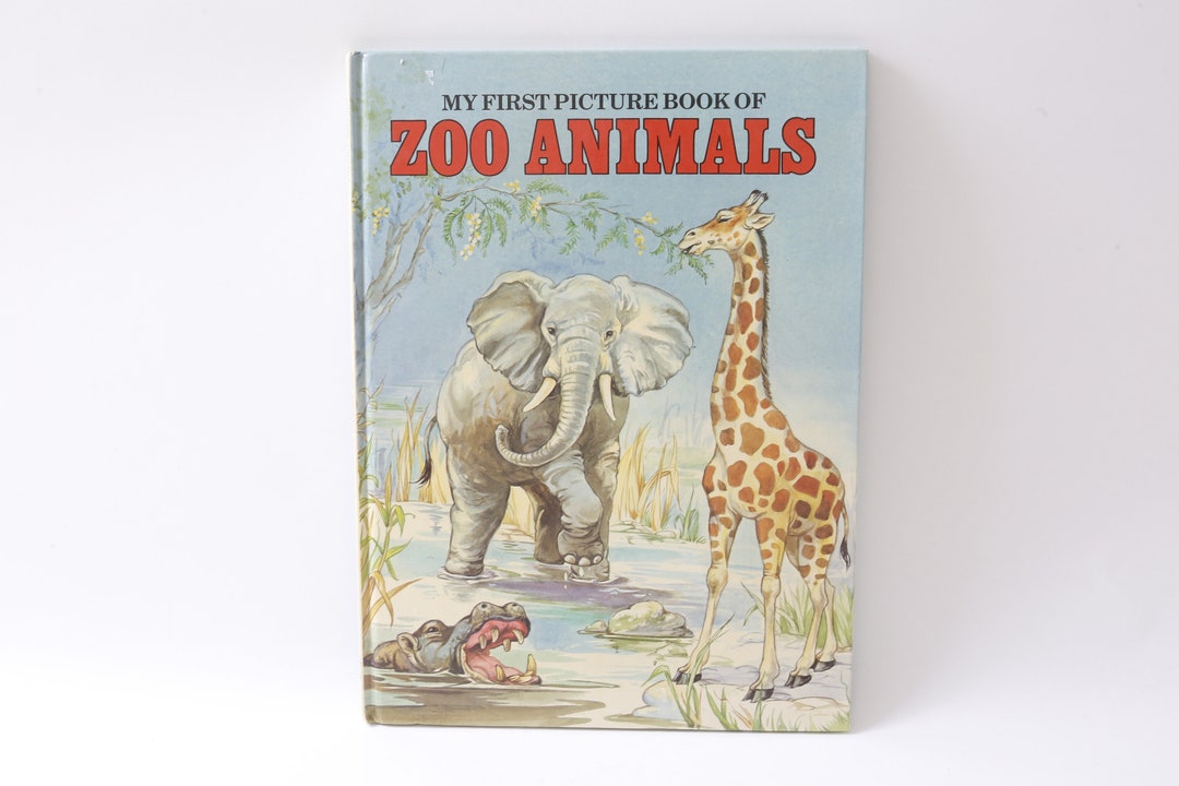 My First Picture Book of Zoo Animals, Hardcover, Picture Book, Vintage ...