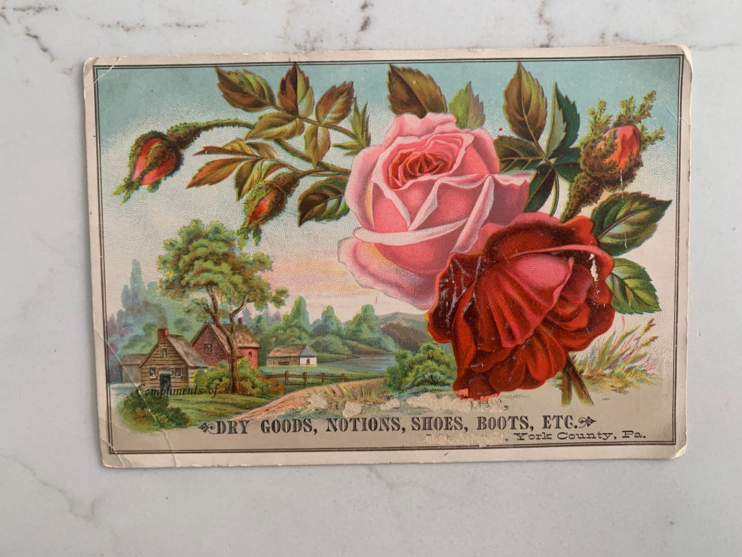 Pink Red Roses and Countryside, Dry Goods, Victorian, Trade Card, 1880s ...