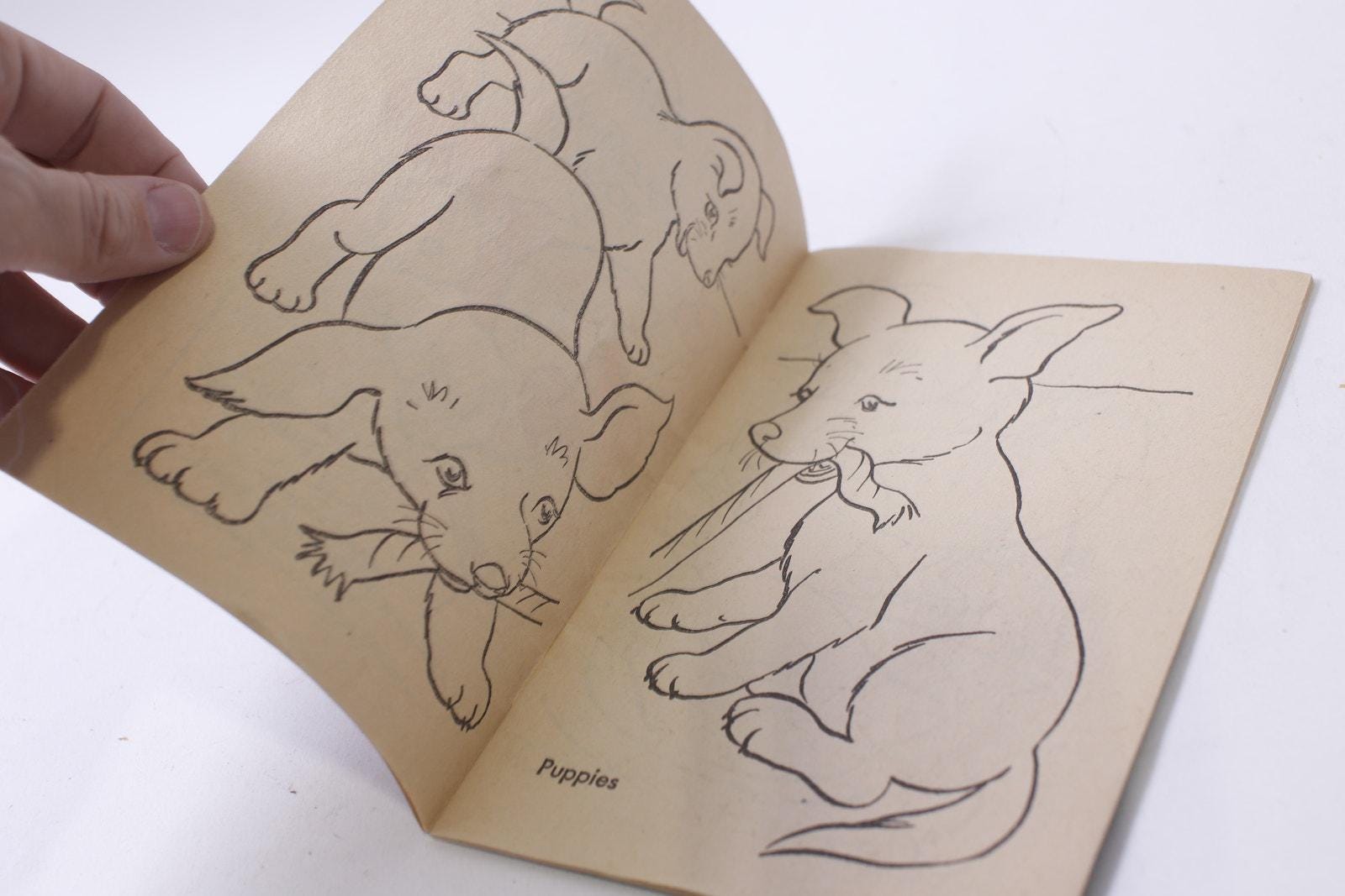 Baby Animals, Coloring Book, Whitman, 1960s, Uncolored, Uncolored ...