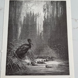 Gustave Dore, Bird and Fish, Meeting, Graphics, Picture, Book Page, One ...