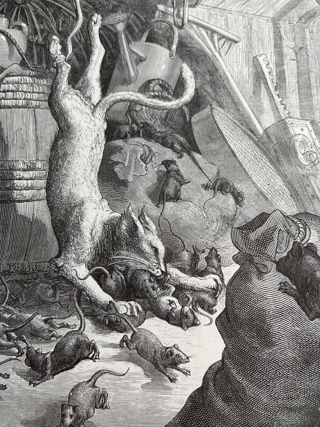 Gustave Dore, the Cat and the Old Rat, Fable, Graphics, Picture, Book ...