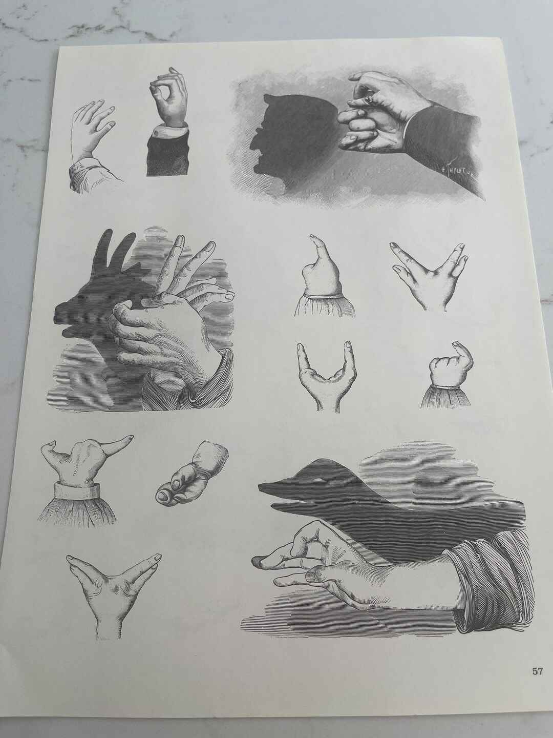 Hands, Shadow, Tricks, Fingers, Fun, Figures, Poster, Bookplate Print ...