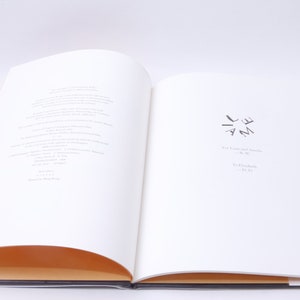 The Disappearing Alphabet, Richard Wilbur, David Diaz, 1998, Hardcover ...