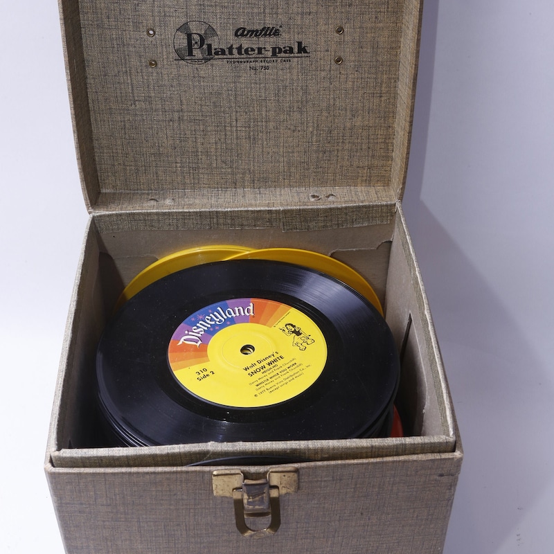 Record Carrying Case - Etsy