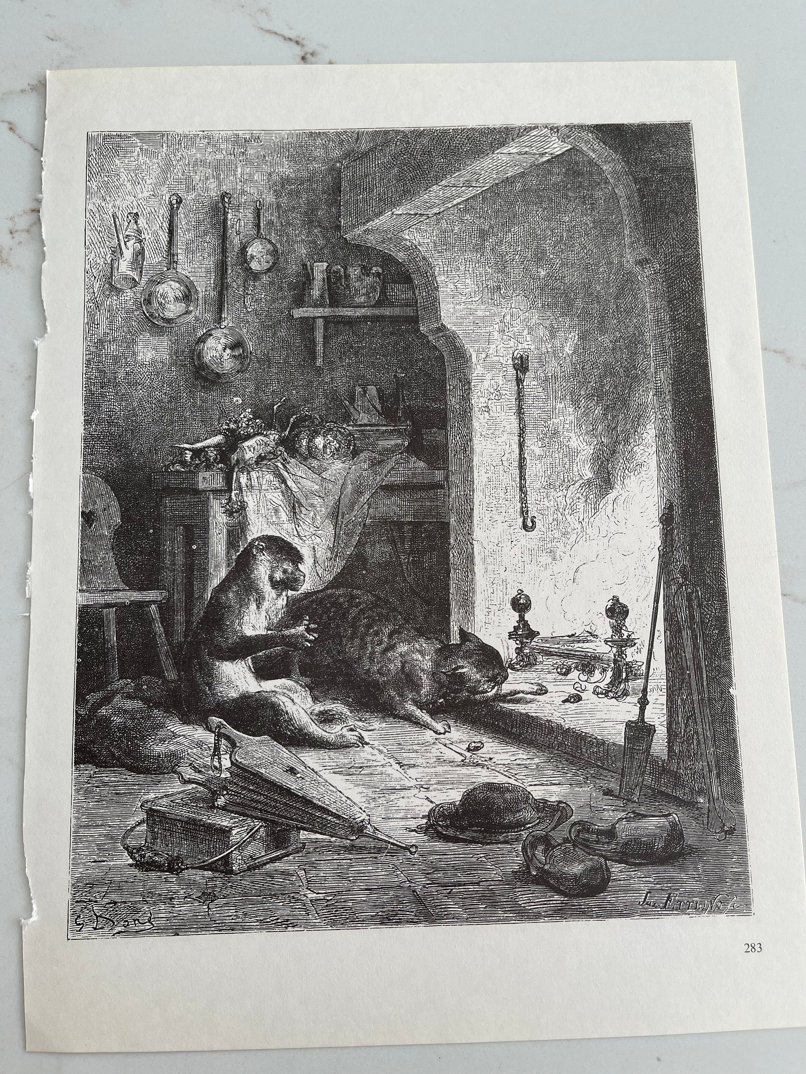 Gustave Dore, the Monkey and the Cat, Fable, Graphics, Picture, Book ...