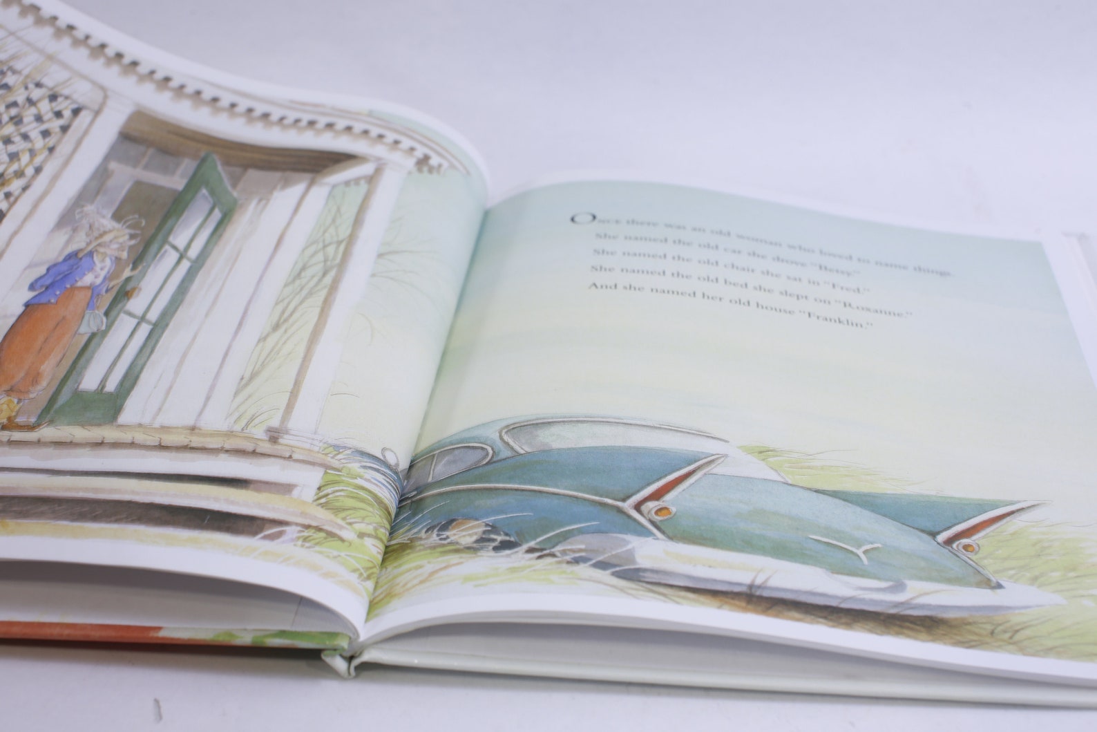 The Old Woman Who Names Things, Cynthia Rylant, Illustrated, Kathryn ...