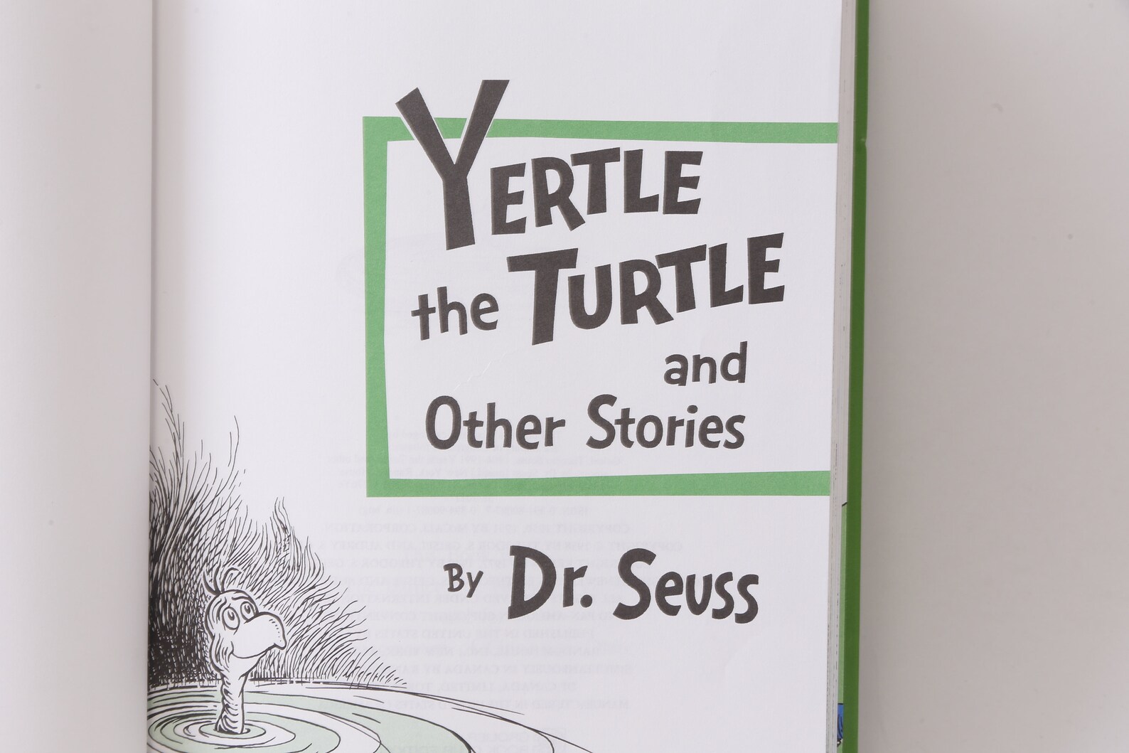 Yertle the Turtle and Other Stories by Dr. Seuss Picture - Etsy