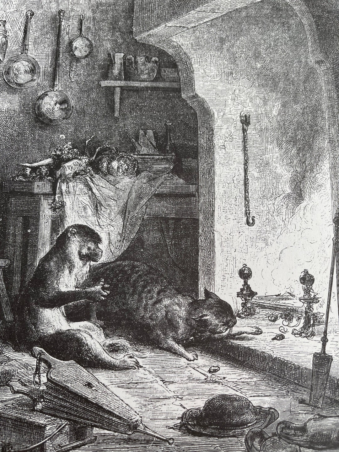 Gustave Dore, the Monkey and the Cat, Fable, Graphics, Picture, Book ...