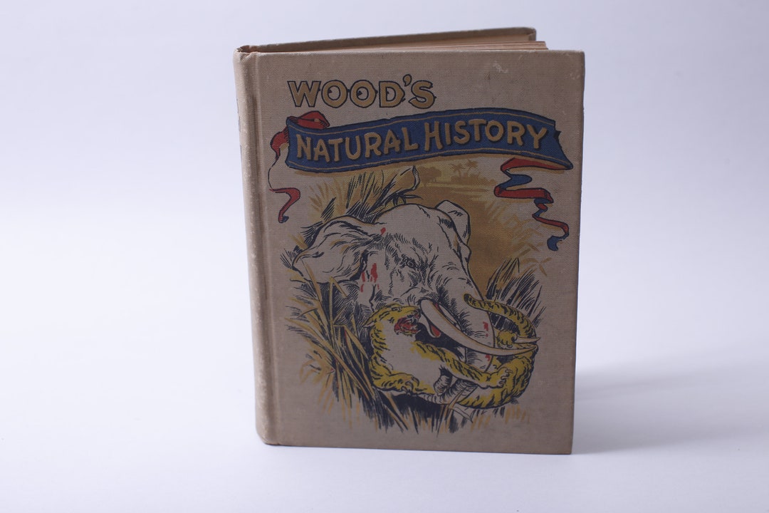 Wood's Natural History, Illustrated, for Young People, 1898, Dewolfe ...