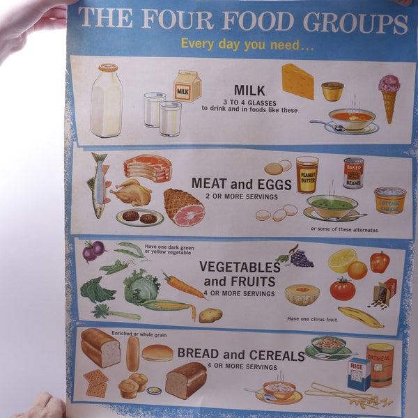 Food Groups Poster - Etsy