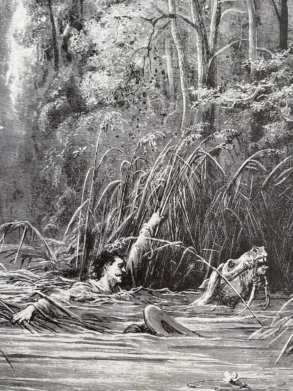 Gustave Dore, Baron Von Munchausen, Horse, Sinking, Graphics, Picture ...