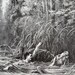 Gustave Dore, Baron Von Munchausen, Horse, Sinking, Graphics, Picture ...