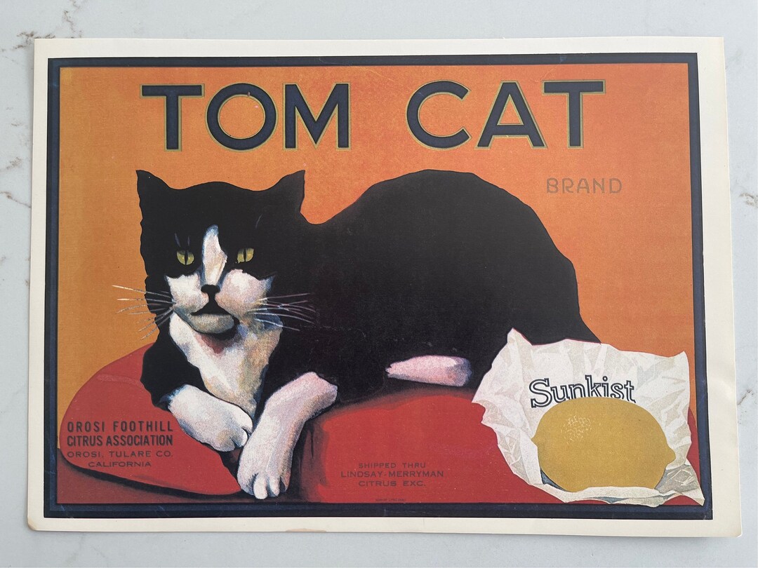 Cats, Advertising, Tom Cat, Products, Labels, Poster, Double-sided ...