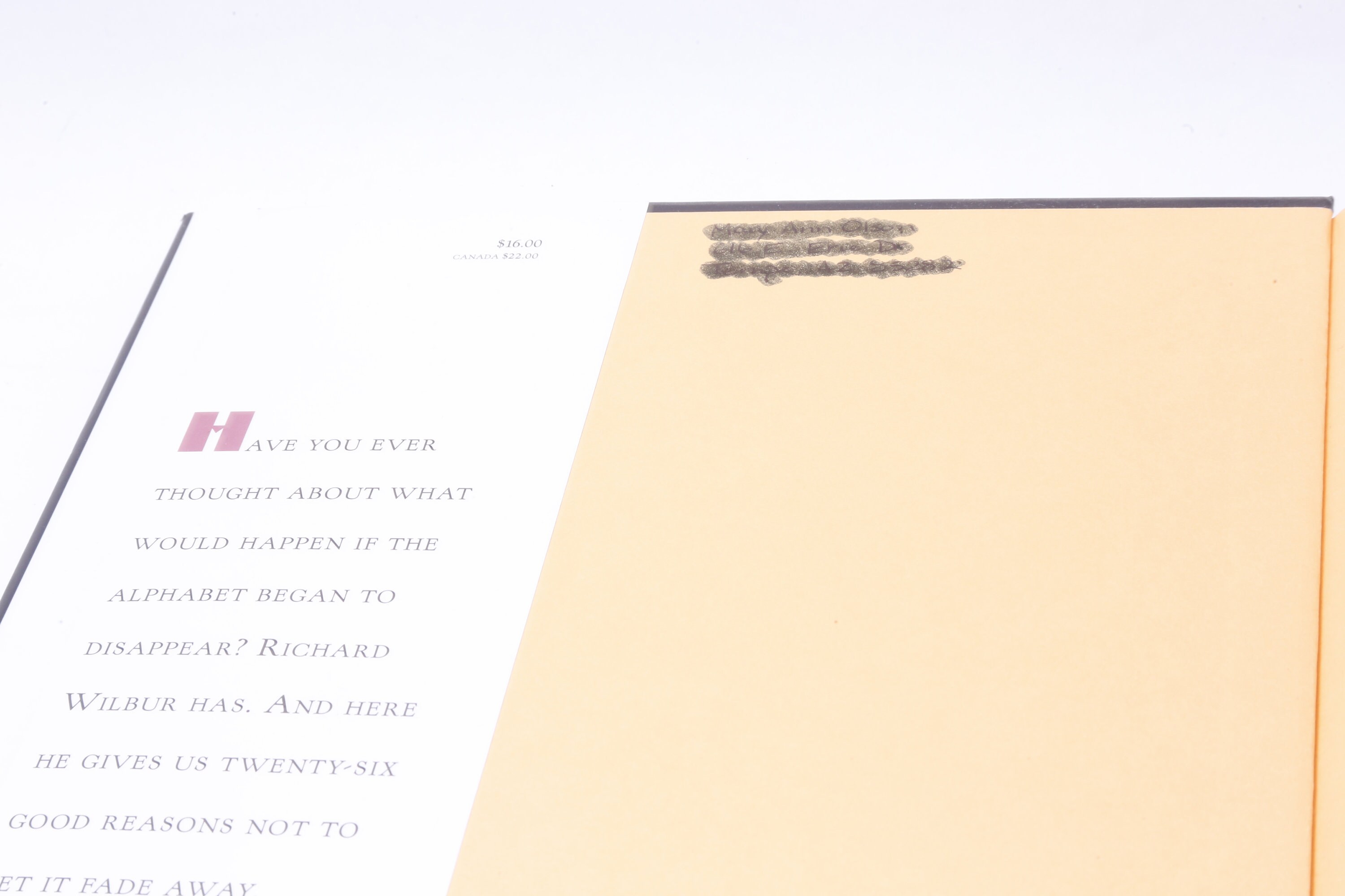 The Disappearing Alphabet Richard Wilbur David Diaz 1998 - Etsy