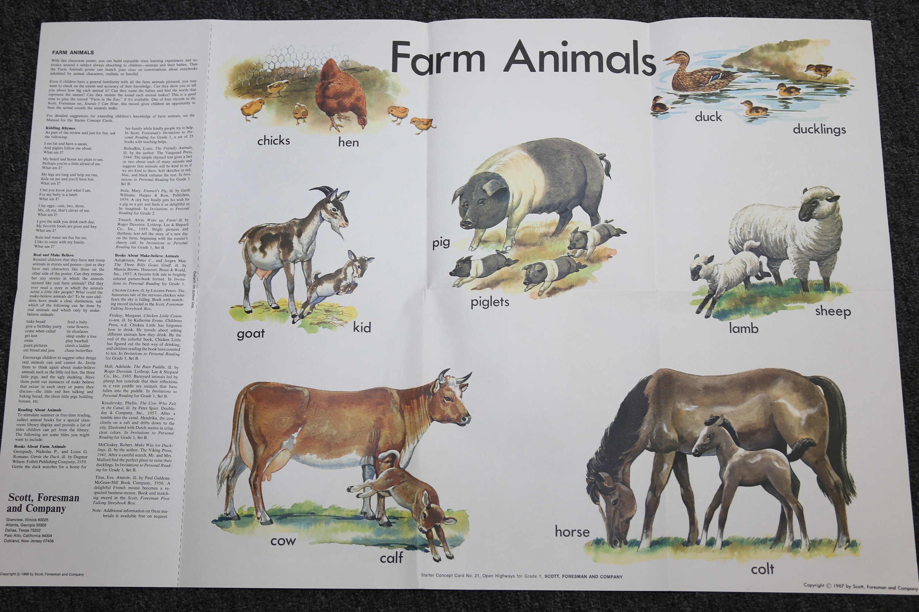 Rare Storybook Characters Farm Animals Poster 1967 Scott - Etsy