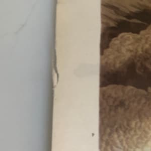 Red-wing, Cliff Swallow, the Birds of America, Print, Bookplate, Double ...