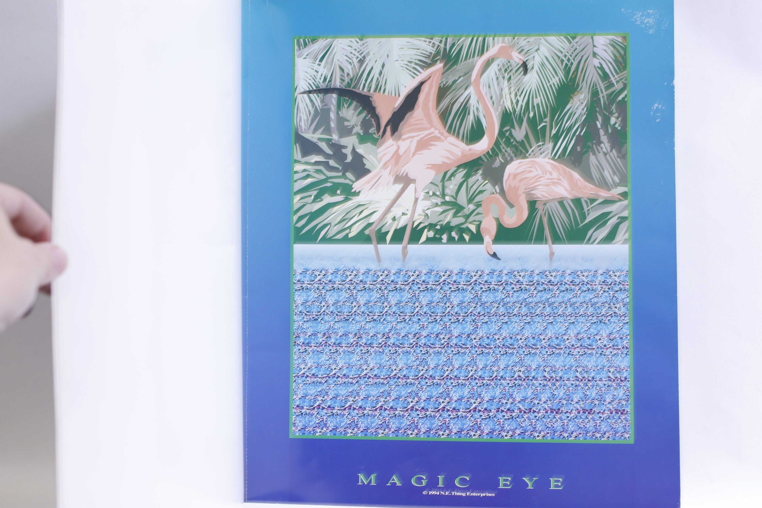 Magic Eye Book of Posters 3D Illusions 1994 N E Thing 17 - Etsy