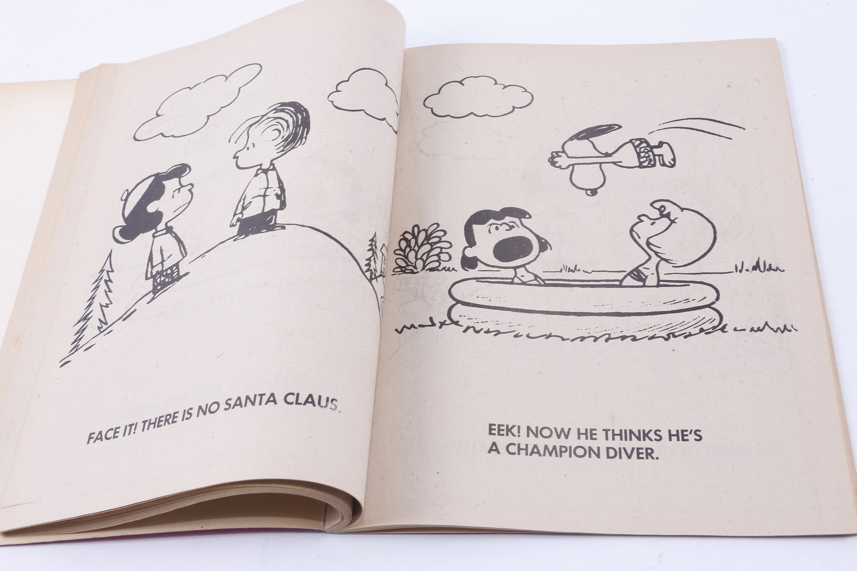 Peanuts Lucy Coloring Book Saalfield Comics Characters - Etsy