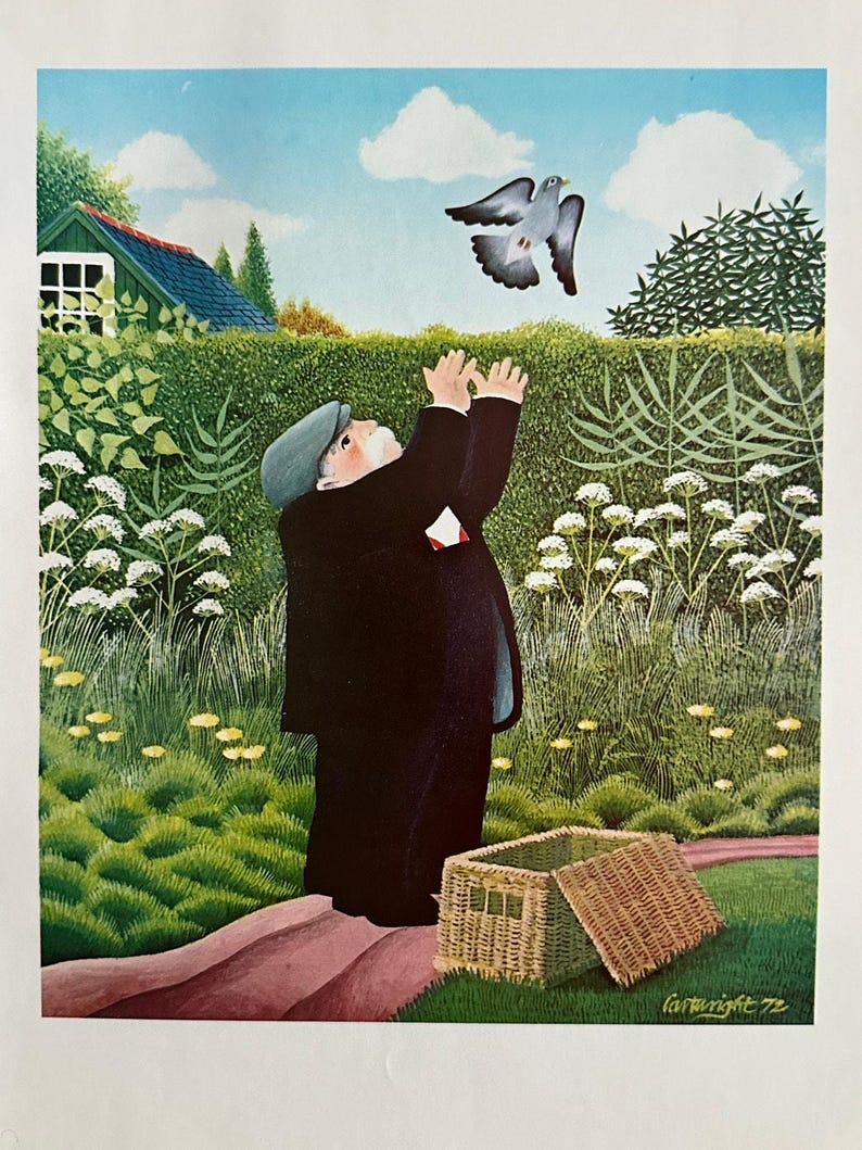 Reg Cartwright, the Pigeon Fancier, Fantasy, Illustration, Book Page ...