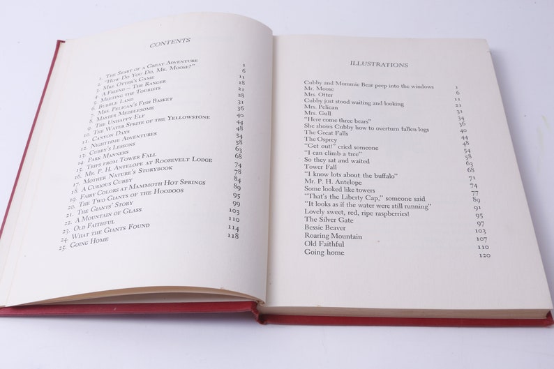 Frances Joyce Farnsworth, Cubby in Wonderland, Revised Edition ...