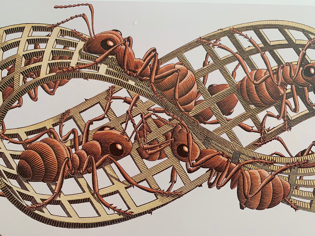 M C Escher, Mobius Strip II, Red Ants, 1963, Catalogue No 441, Graphics ...