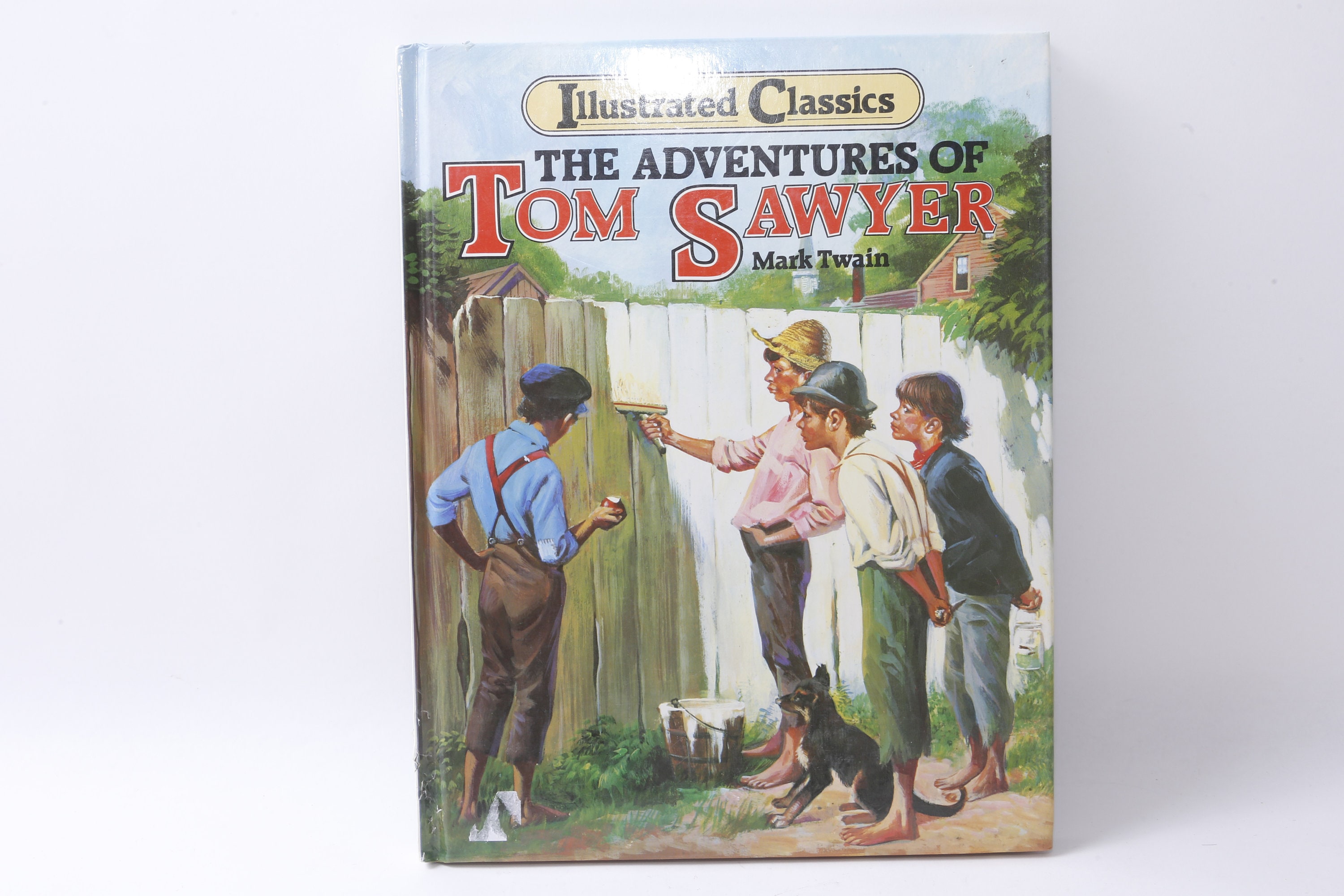 Tom Sawyer Book