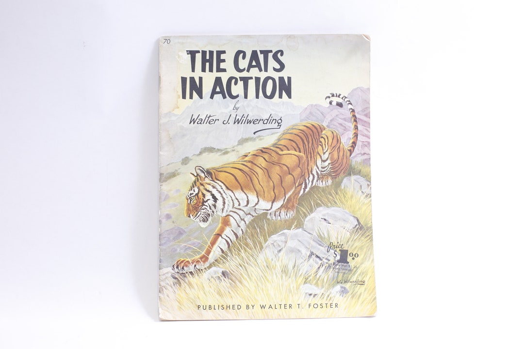 The Cats in Action, Walter Wilwerding, Book, Adventure, Humor, Playful ...