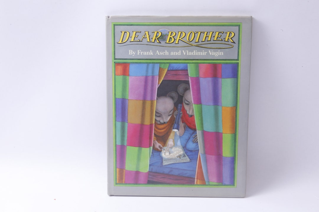 Dear Brother, Frank Asch, Vladimir Vagin, Hardcover, Slipcover, Vintage ...
