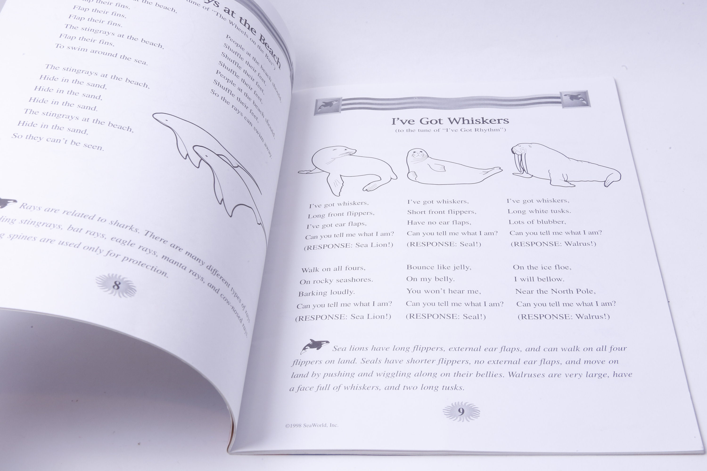 Seaworld Activity & Song Book 1998 Animals Vintage - Etsy