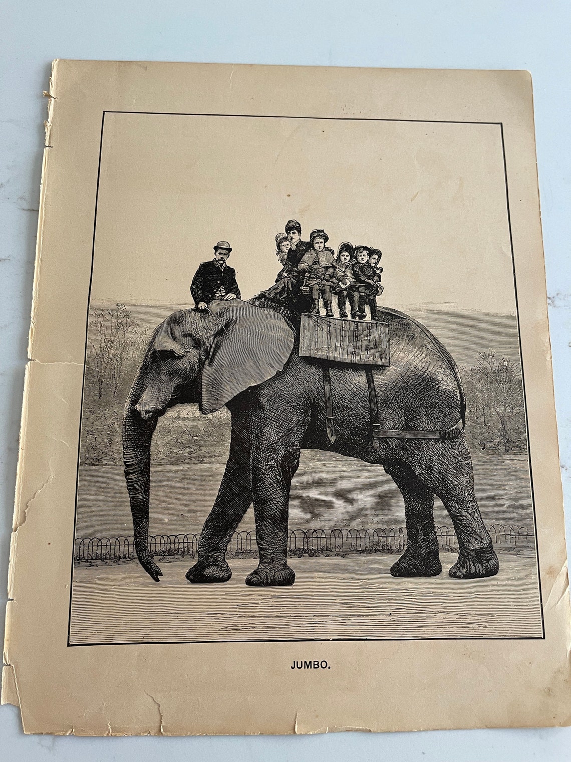 Jumbo Elephant Children Circus Band Horses 1883 - Etsy