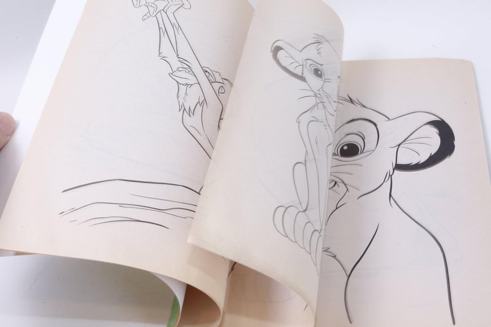 Disney the Lion King Golden Coloring Book 1994 Vintage | Etsy