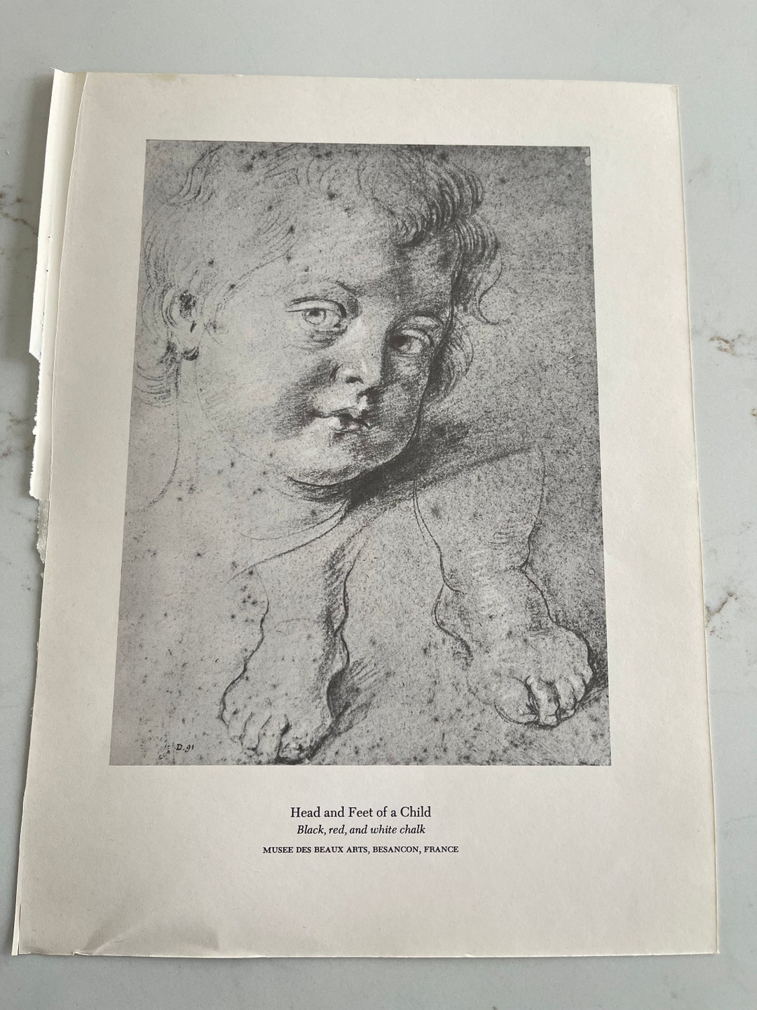 Rubens, Head, Feet, Child, Ignudo, Michelangelo, Double-sided, Graphics ...