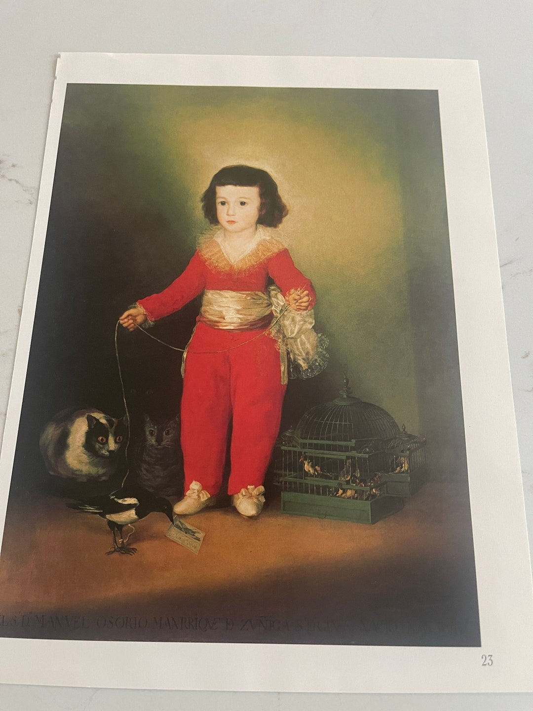 Manuel Osorio De Zúñiga, Francisco Goya, Red Boy, Portrait, Print, Book ...