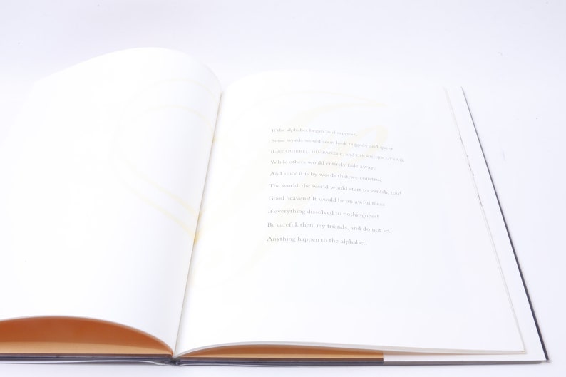 The Disappearing Alphabet Richard Wilbur David Diaz 1998 | Etsy