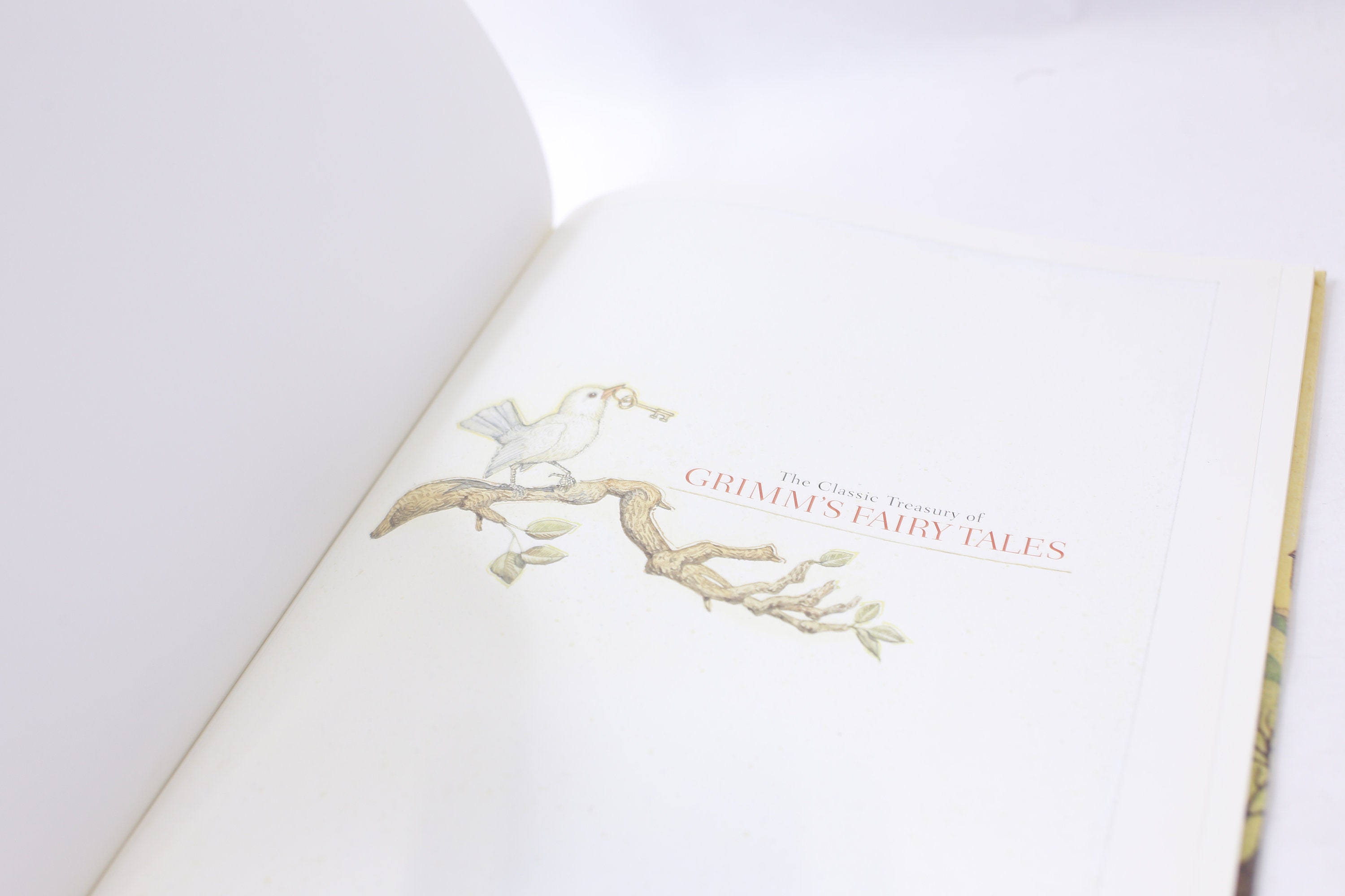 Grimm's Fairy Tales, Picture Book, Illustrated by Don Daily, 2001 ...