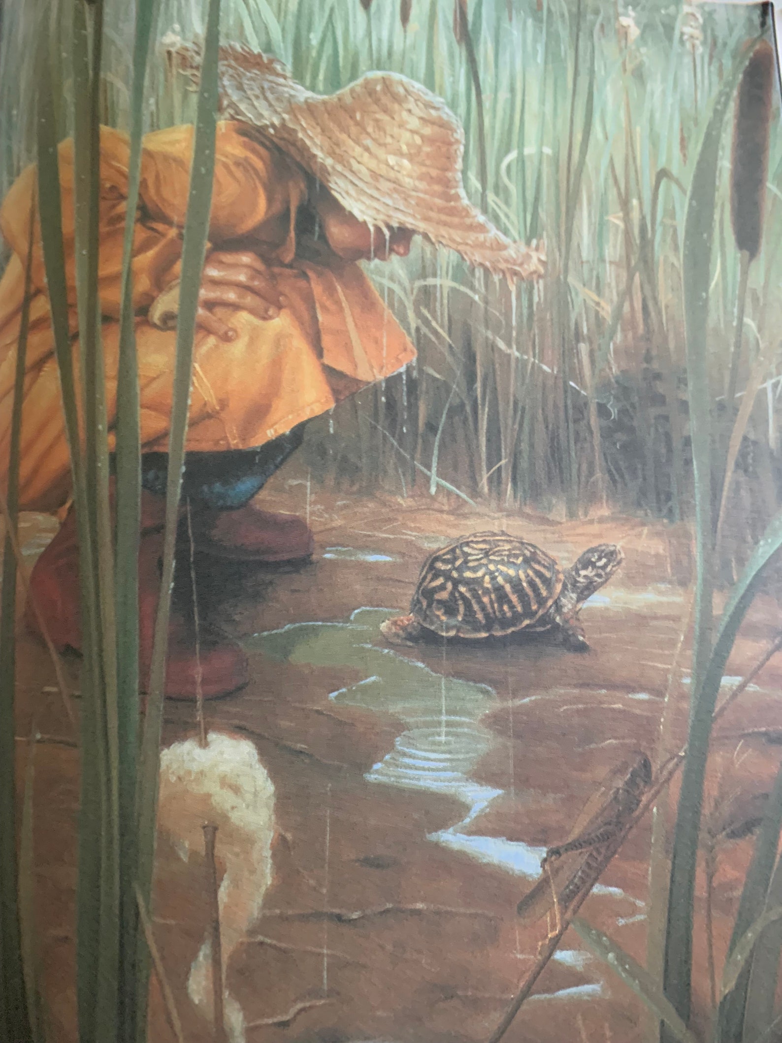 All the Places to Love, Patricia Maclachlan, Paintings by Mike Wimmer ...