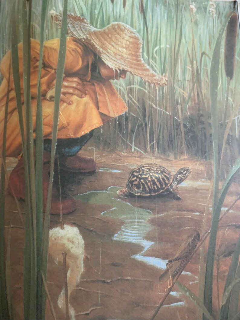 All the Places to Love, Patricia Maclachlan, Paintings by Mike Wimmer ...