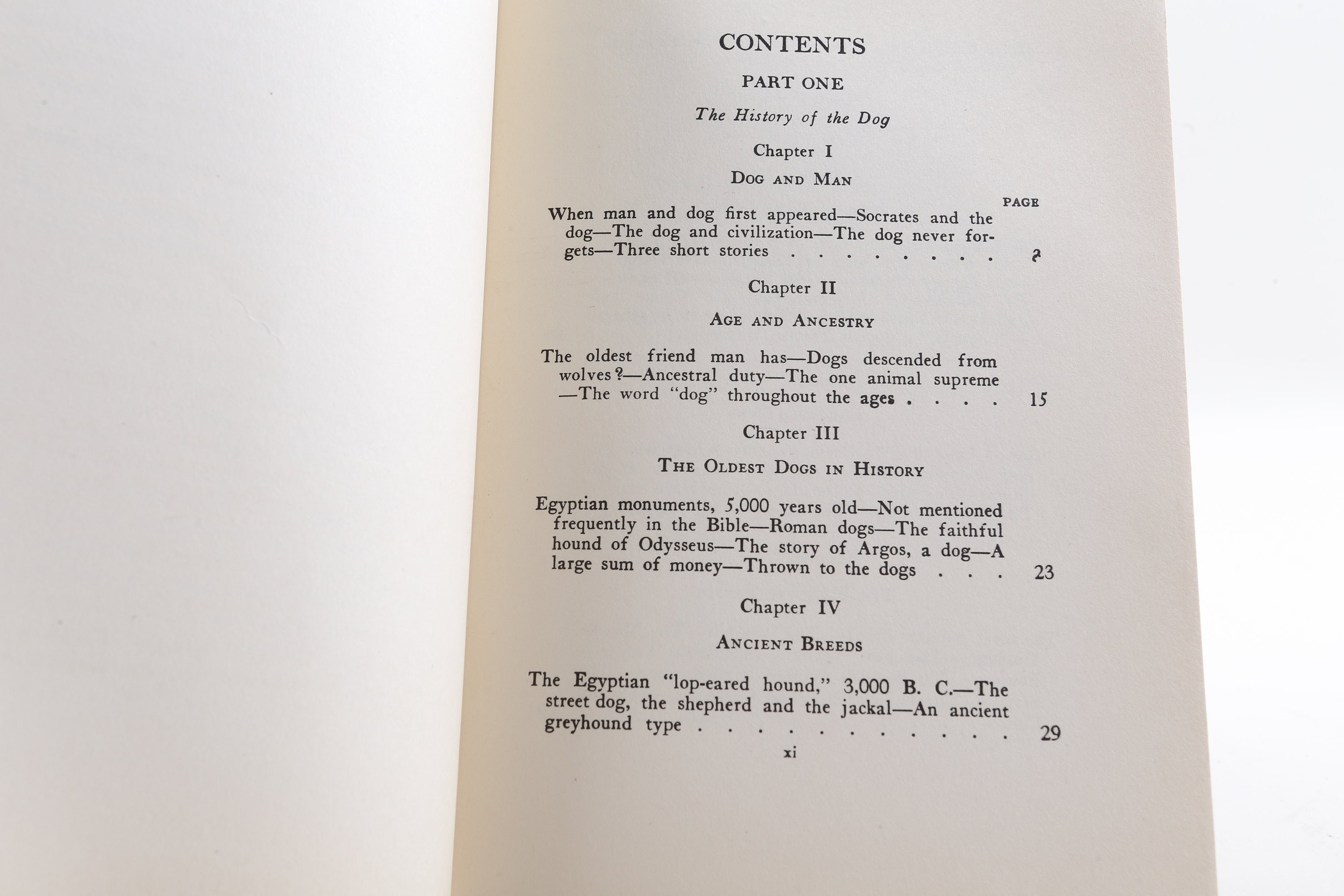 Rare Dog and Dogs Joseph Edward Harry D. Appleton-century - Etsy