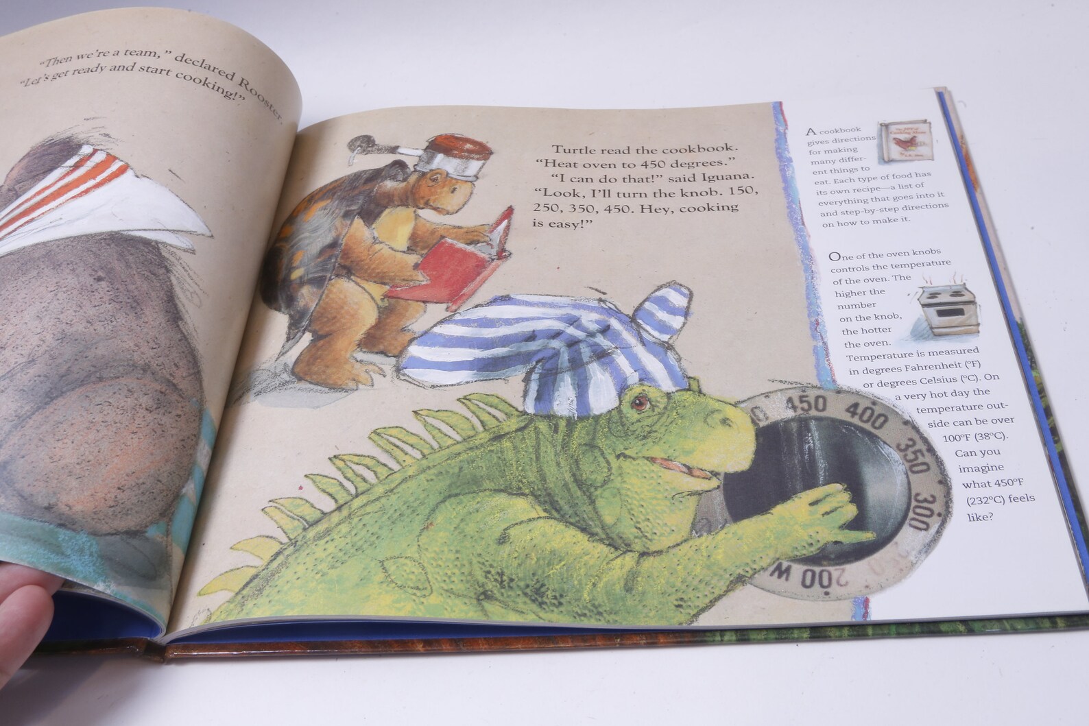 Cook-a-doodle-doo Janet Stevens Susan Stevens Crummel - Etsy