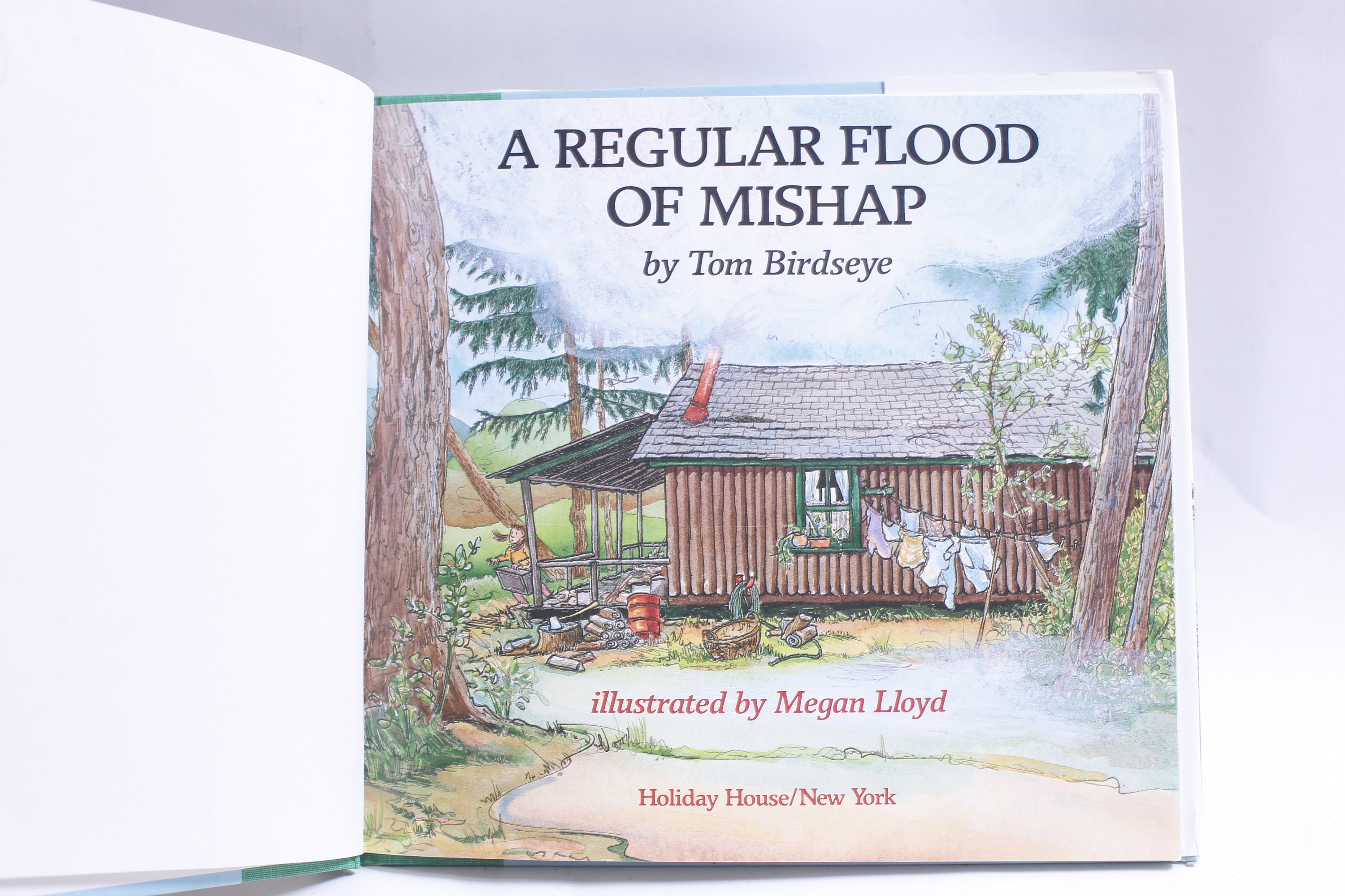 A Regular Flood of Mishap, Tom Birdseye, Picture Book, Illustrated by ...
