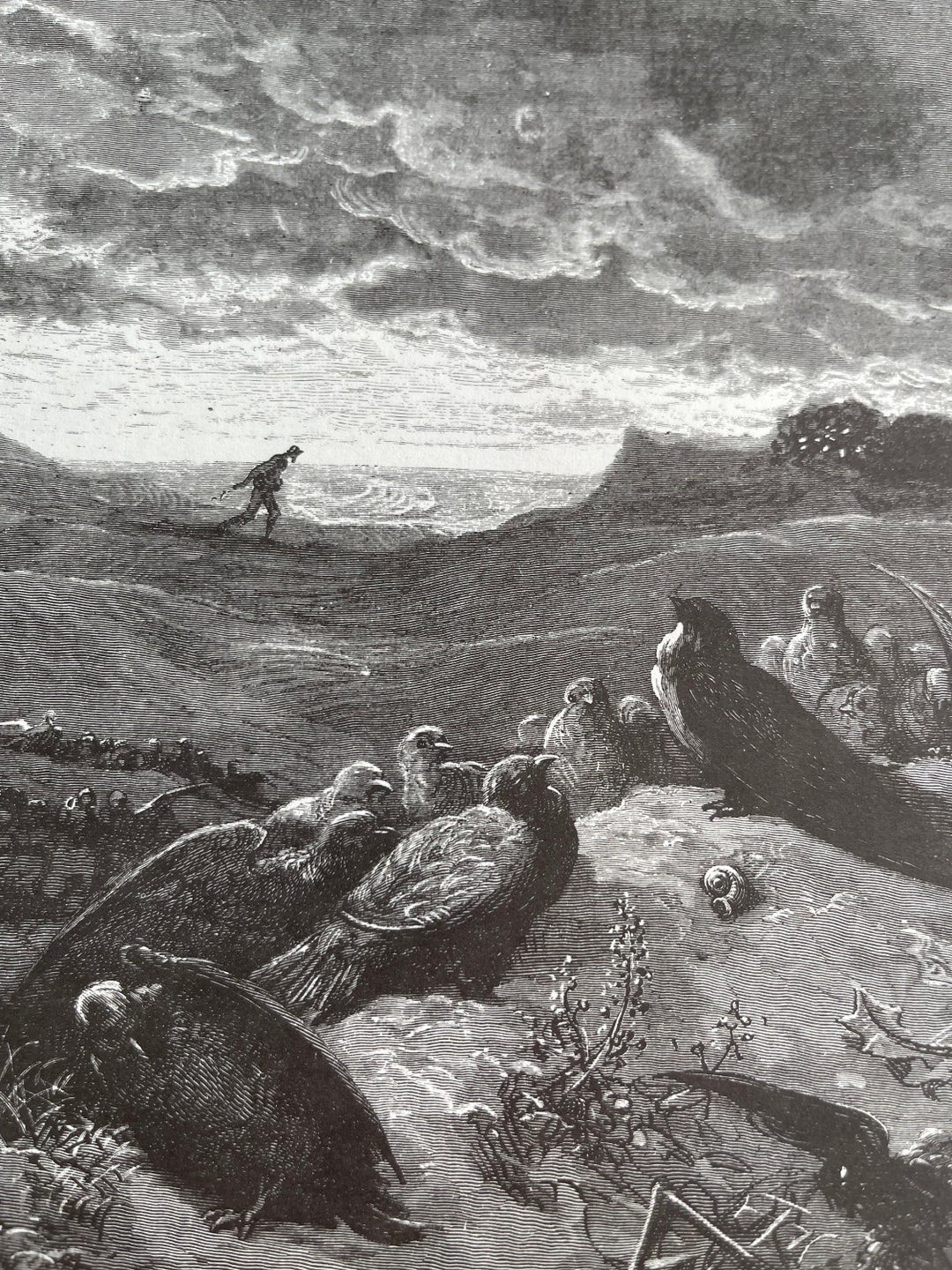 Gustave Dore, Swallow and the Little Birds, Graphics, Picture, Book ...