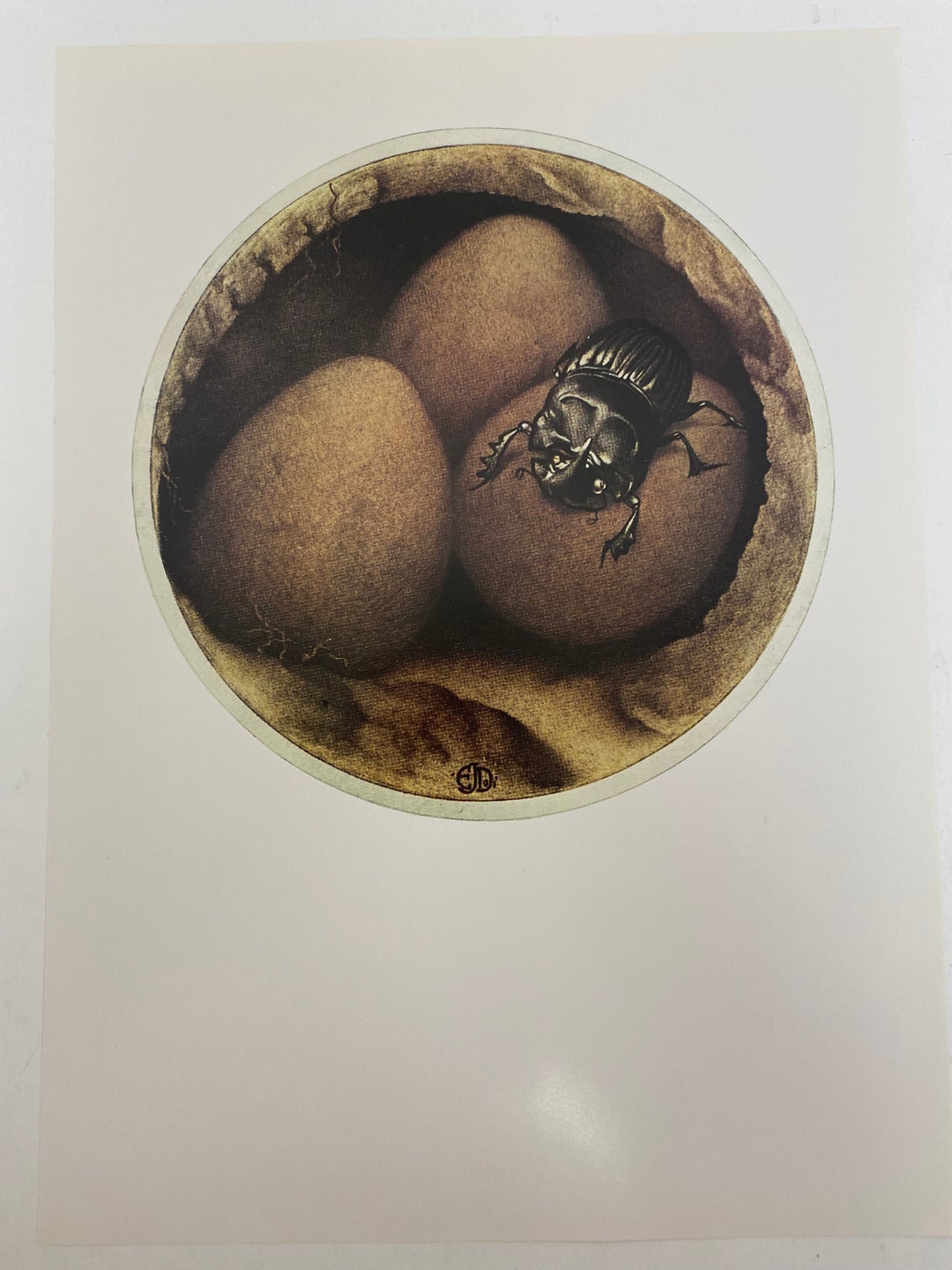 The Spanish Copris and Ovoids, Fabre, Book of Insects, Edward Julius ...