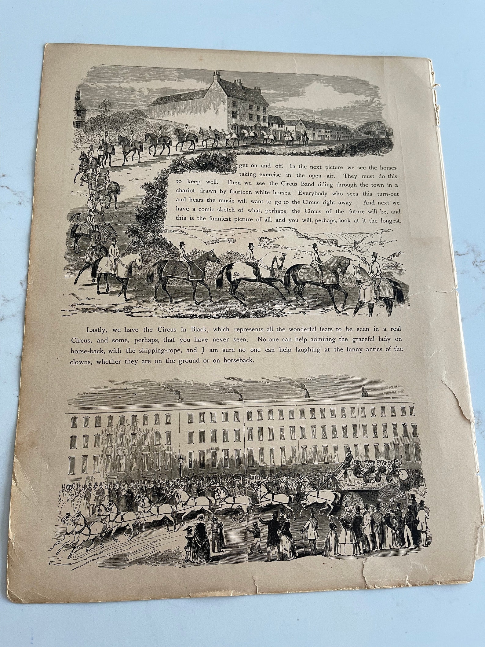 Jumbo Elephant Children Circus Band Horses 1883 - Etsy