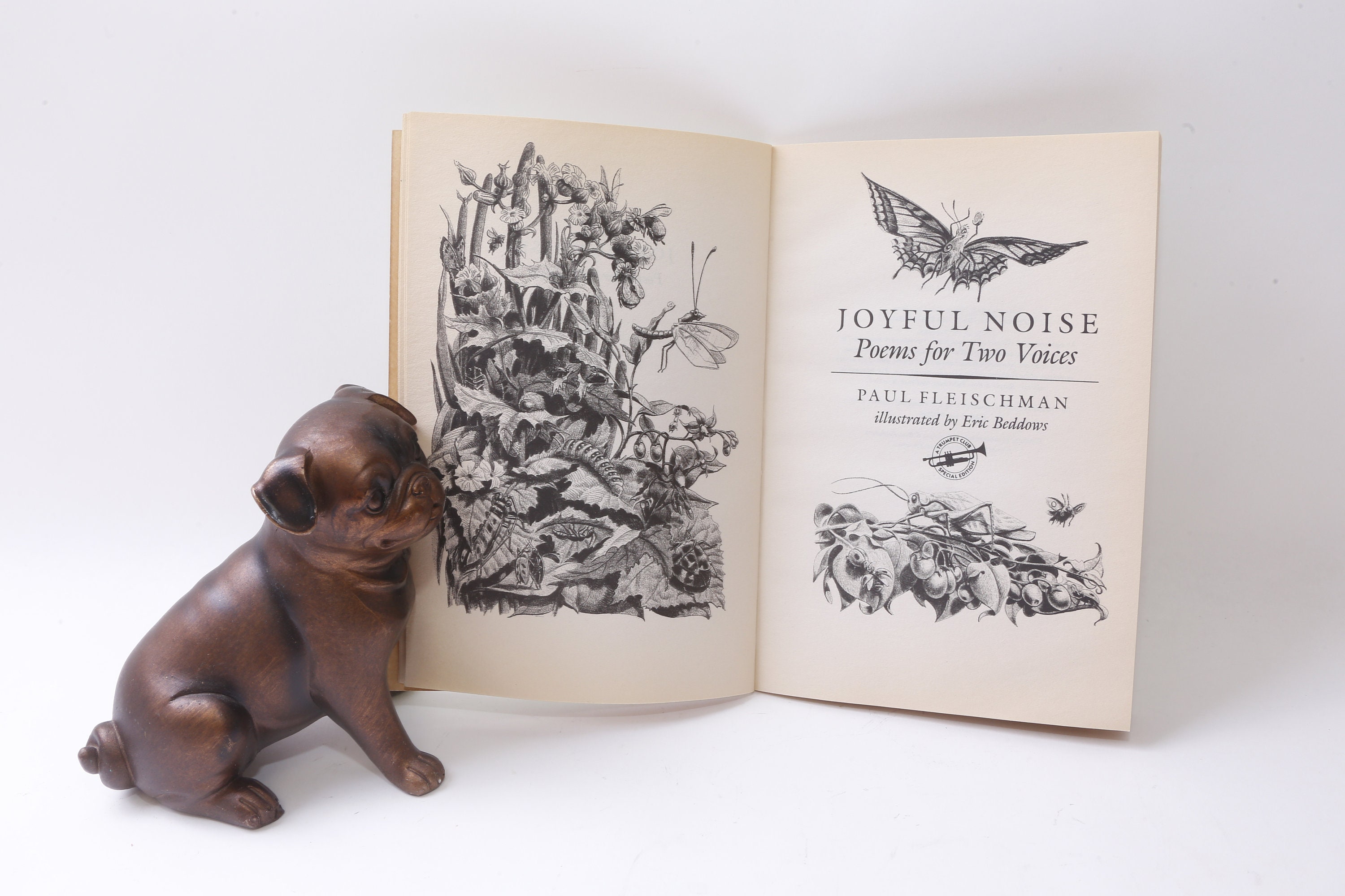 Joyful Noise Book