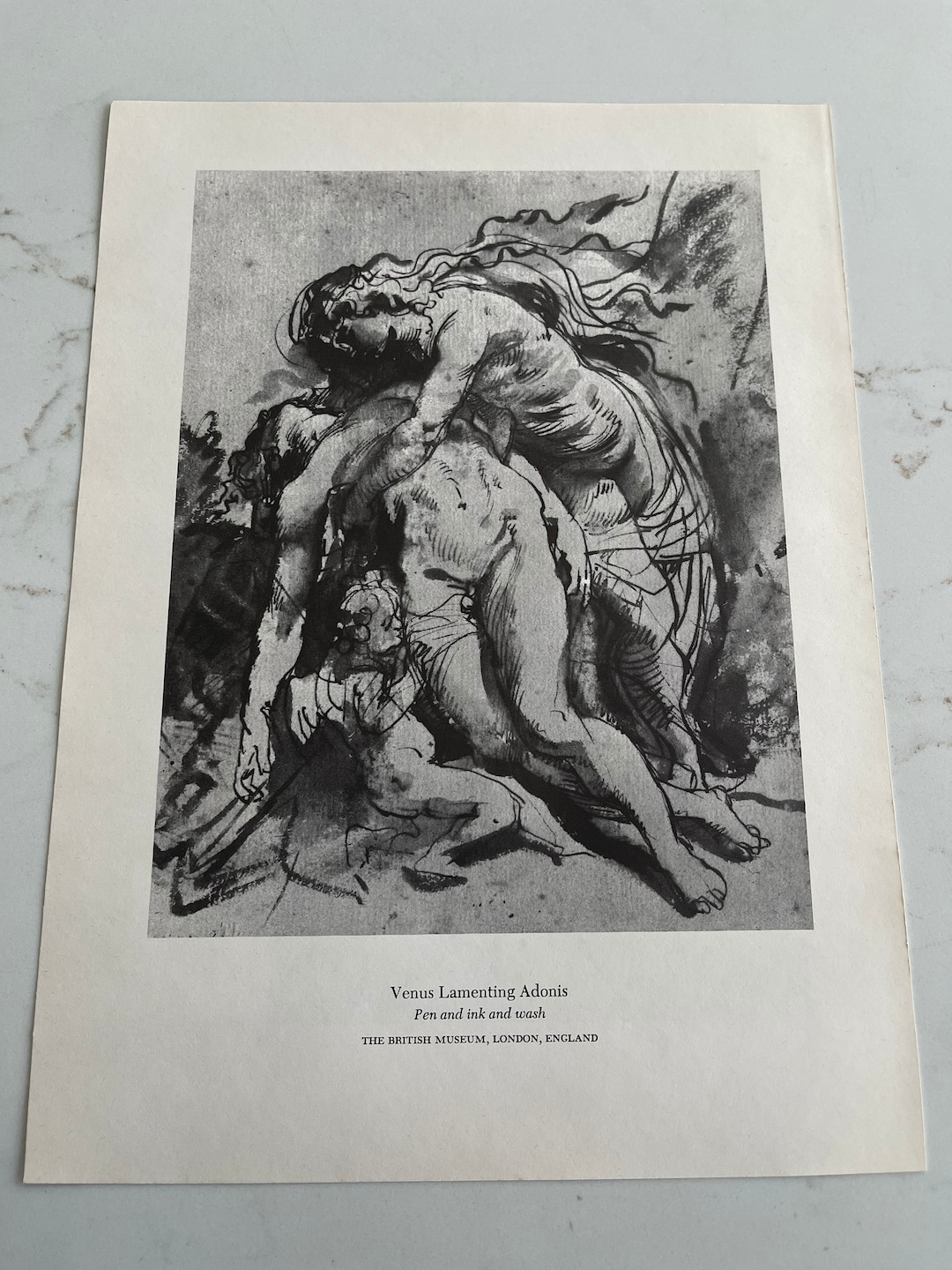 Rubens, Venus Lamenting Adonis, Entombment of Christ, Double-sided ...