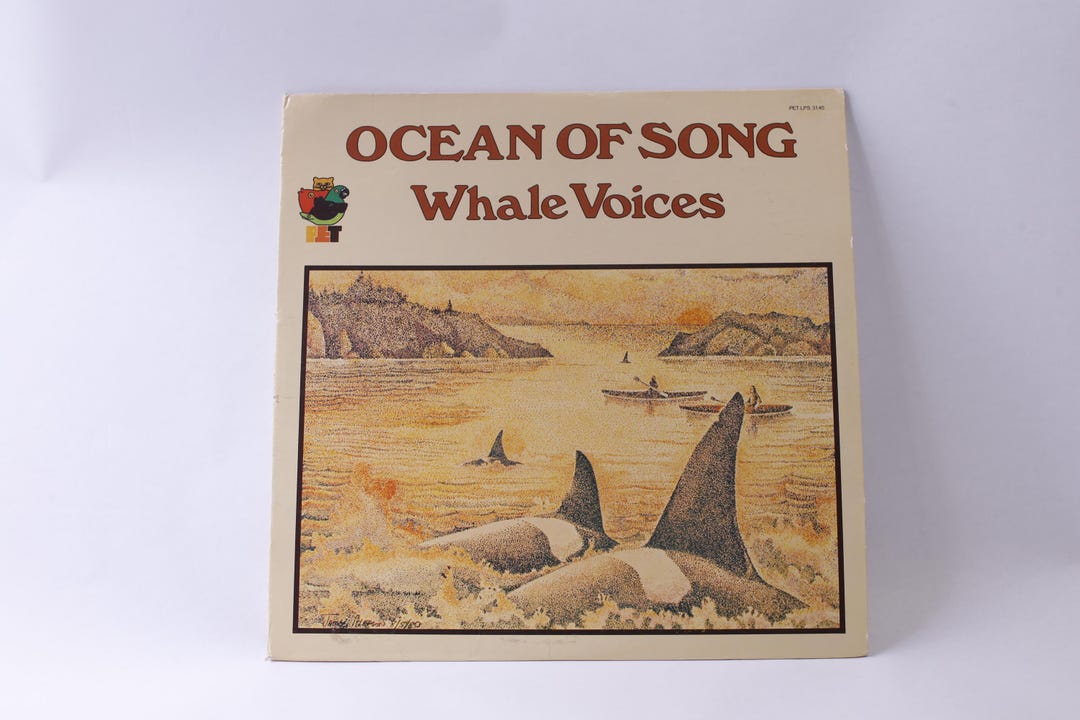 Ocean of Song, Whale Voices, Vinyl Record, 1980, PET Records, the Whale ...