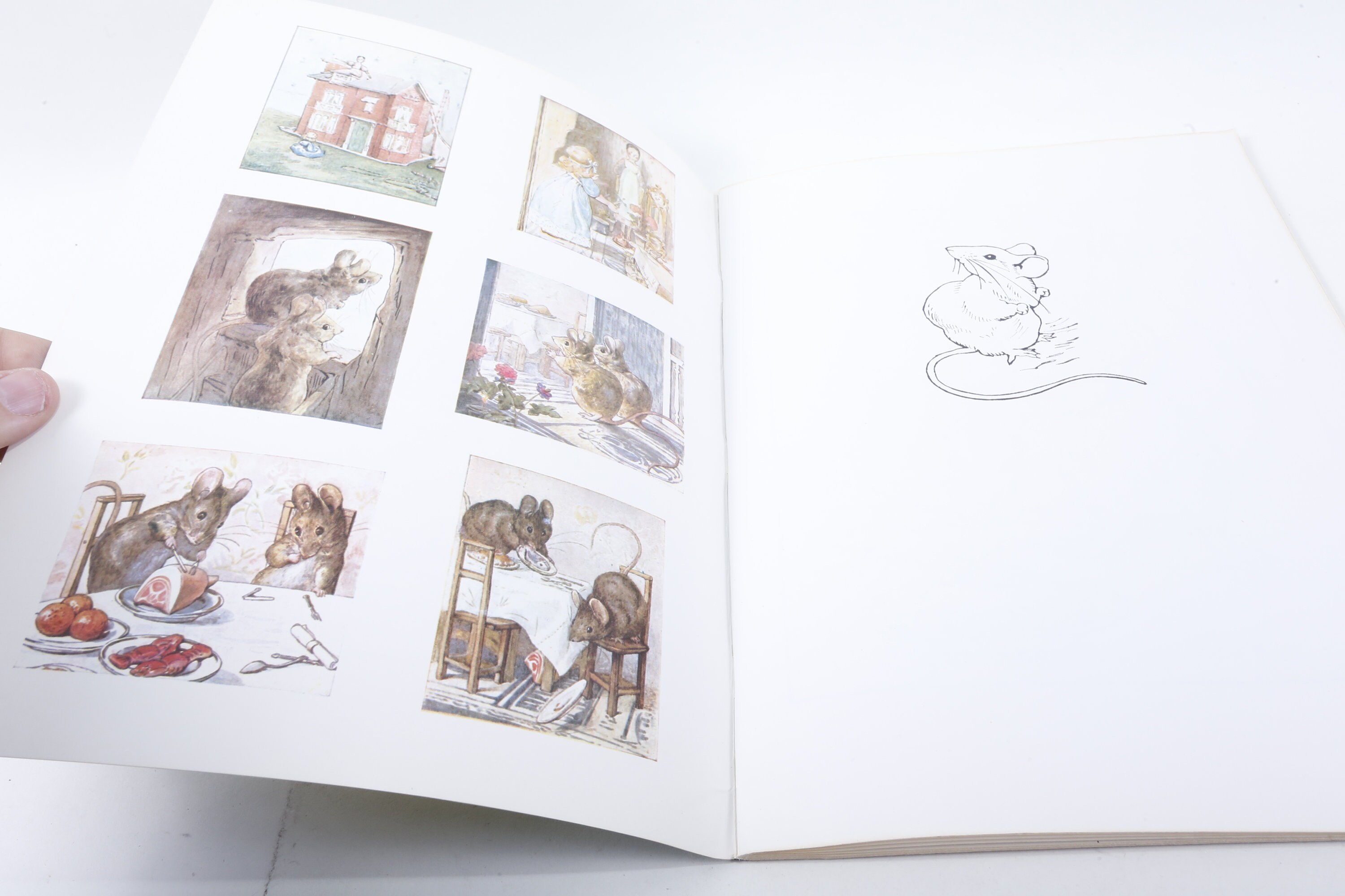 The Tale of Two Bad Mice, Beatrix Potter, Coloring Book, Dover, Pat ...