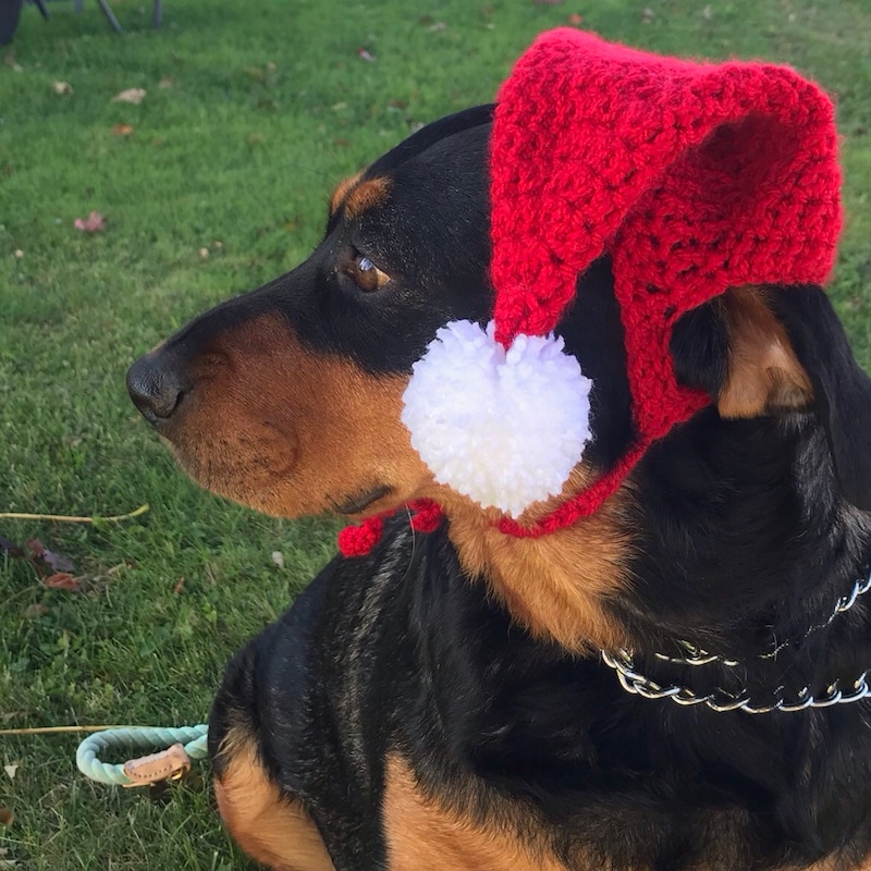 Hats for Dogs - Etsy