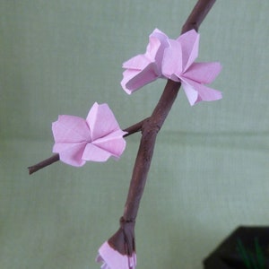 Origami Cherry Blossom Tree - Etsy