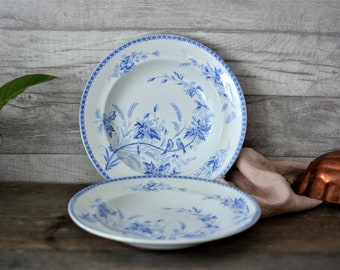 Antique Swedish Plate - Etsy